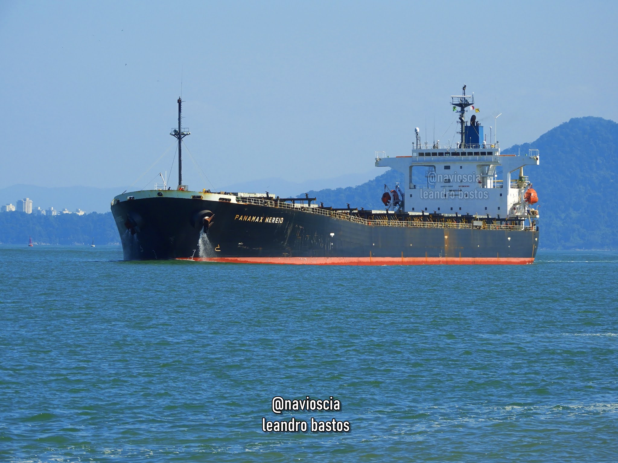 Navios de Santos & CIA: navio PANAMAX NEREID