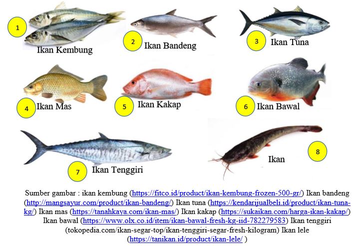 Kreativitasku (suhardin anak wayong): LEMBAR KERJA SISWA : IDENTIFIKASI ...
