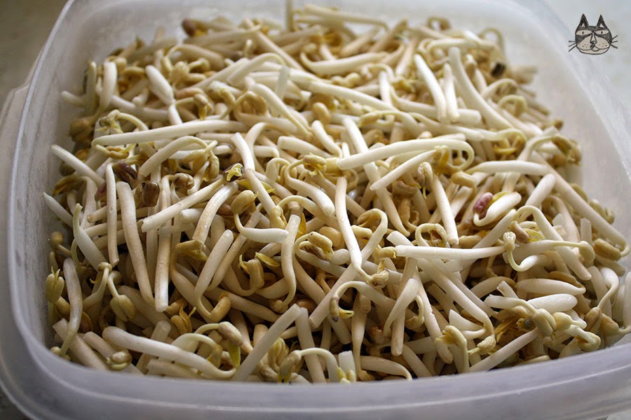 Airinie Cooks: Her Eclectic Kitchen: Ingredients Glossary