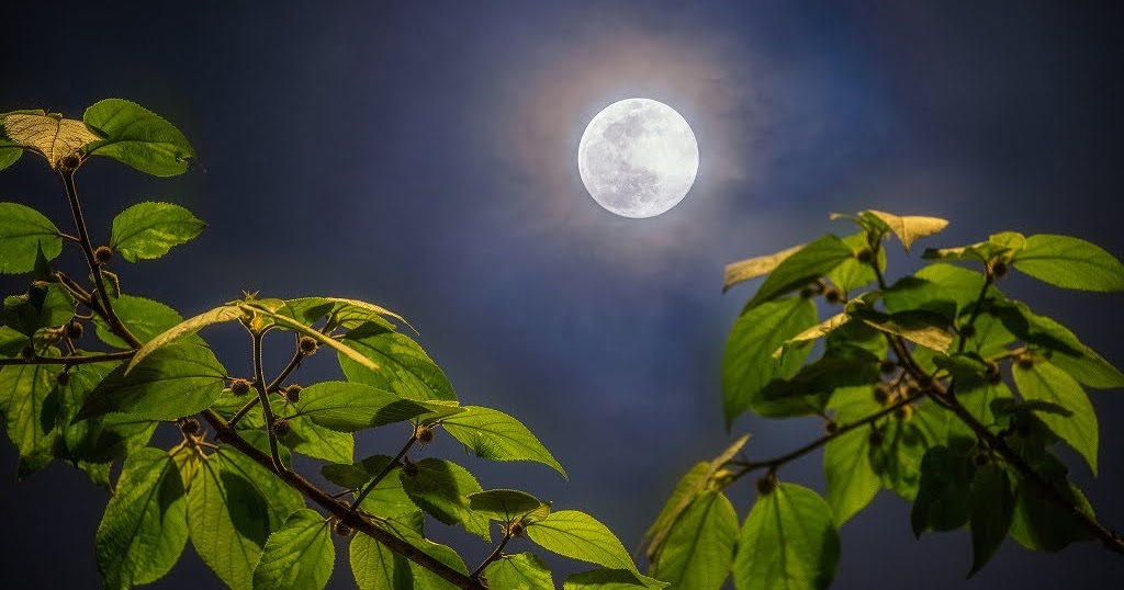 Indahnya Bulan Purnama di Musim Semi - APOD Indonesia