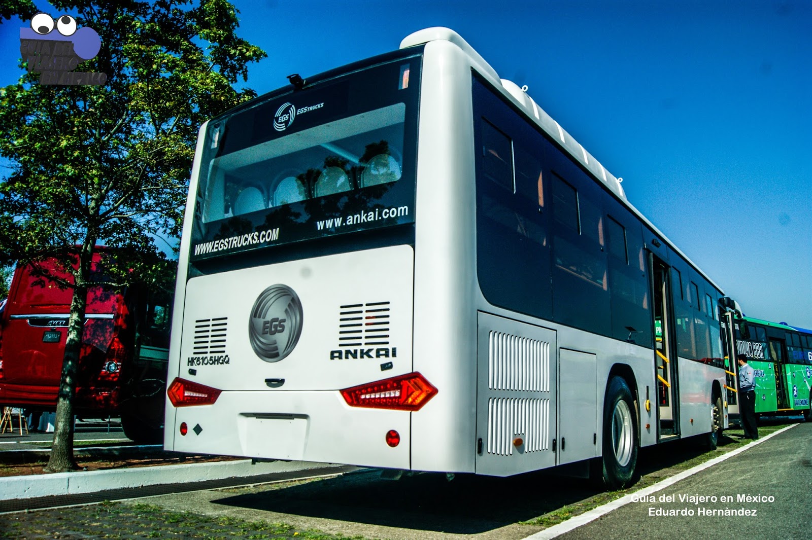 Ankai, el chico nuevo