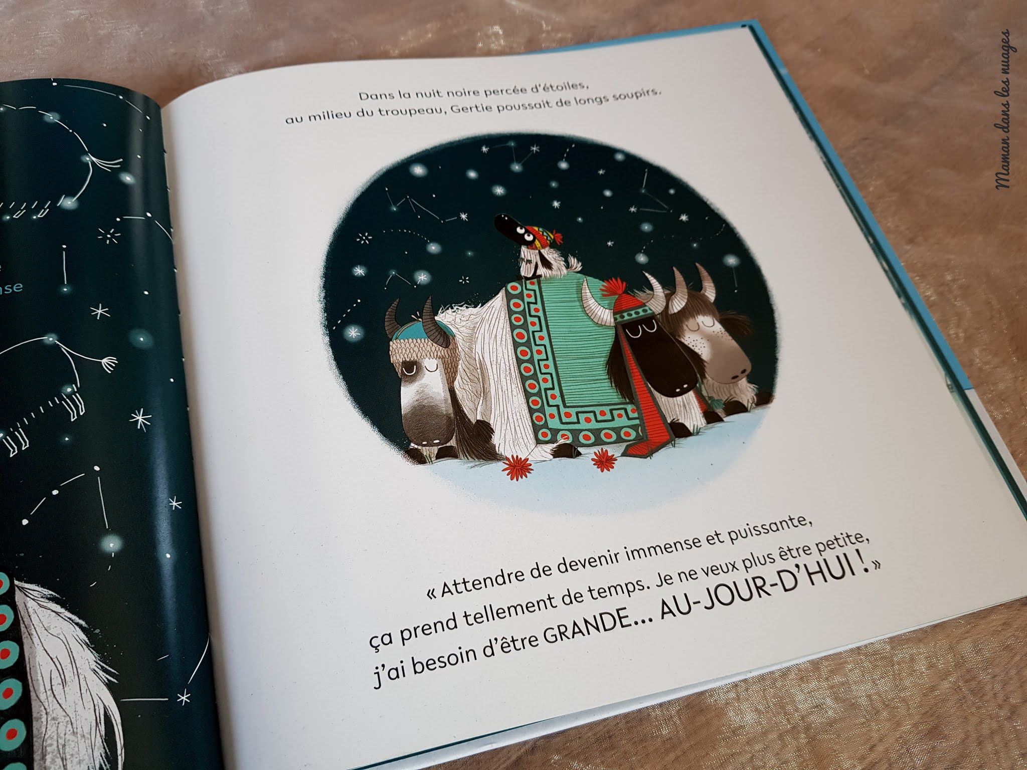 Maman dans les nuages: Le plus petit yack