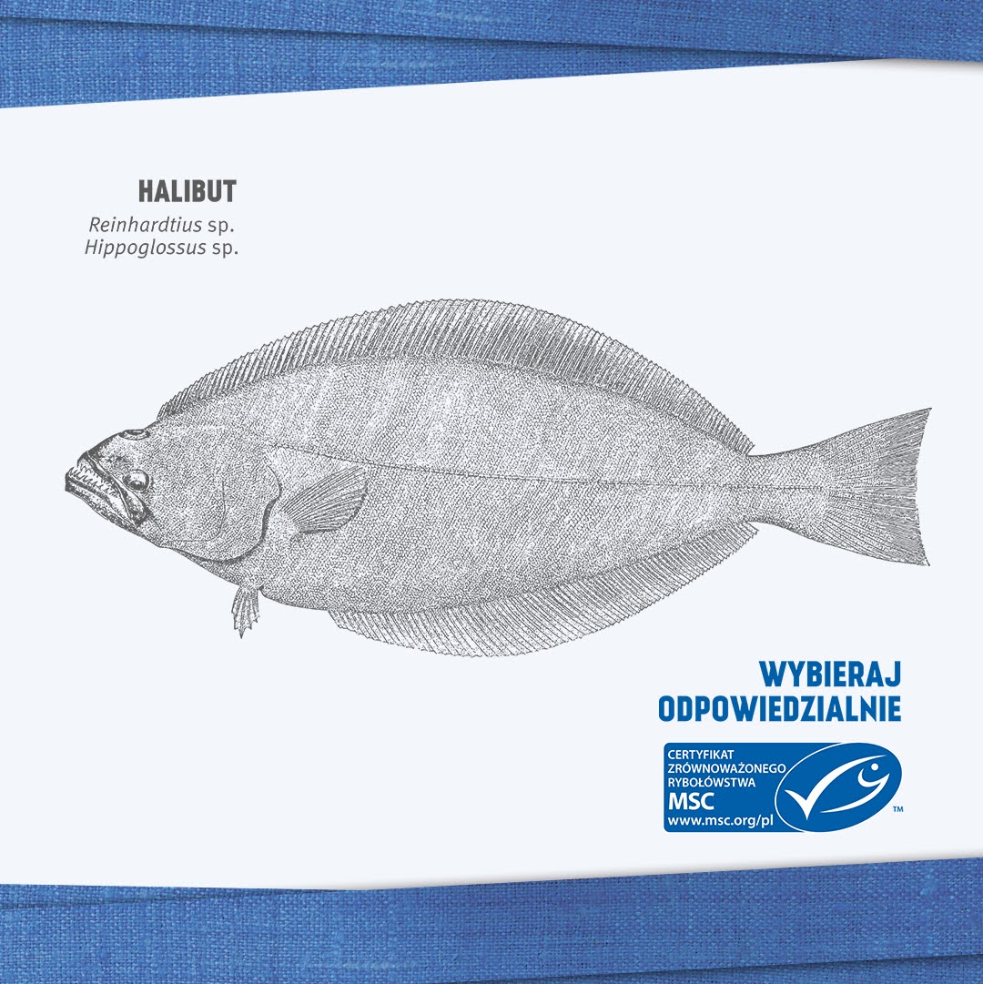 Chowder z halibutem | Smaczna Pyza