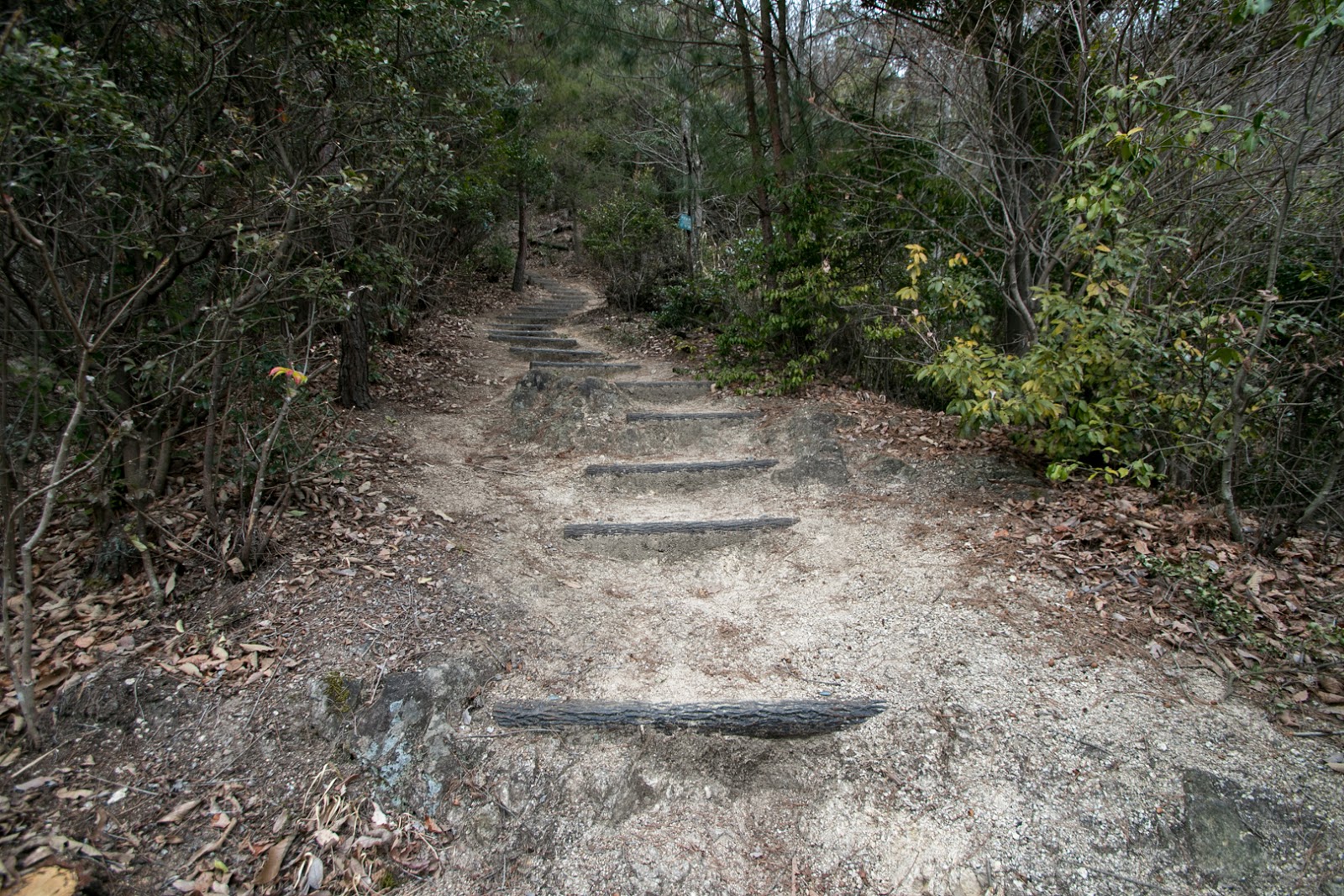 Niitakayama Castle -Intellectual pillar of Mouri clan (2)- | Japan ...