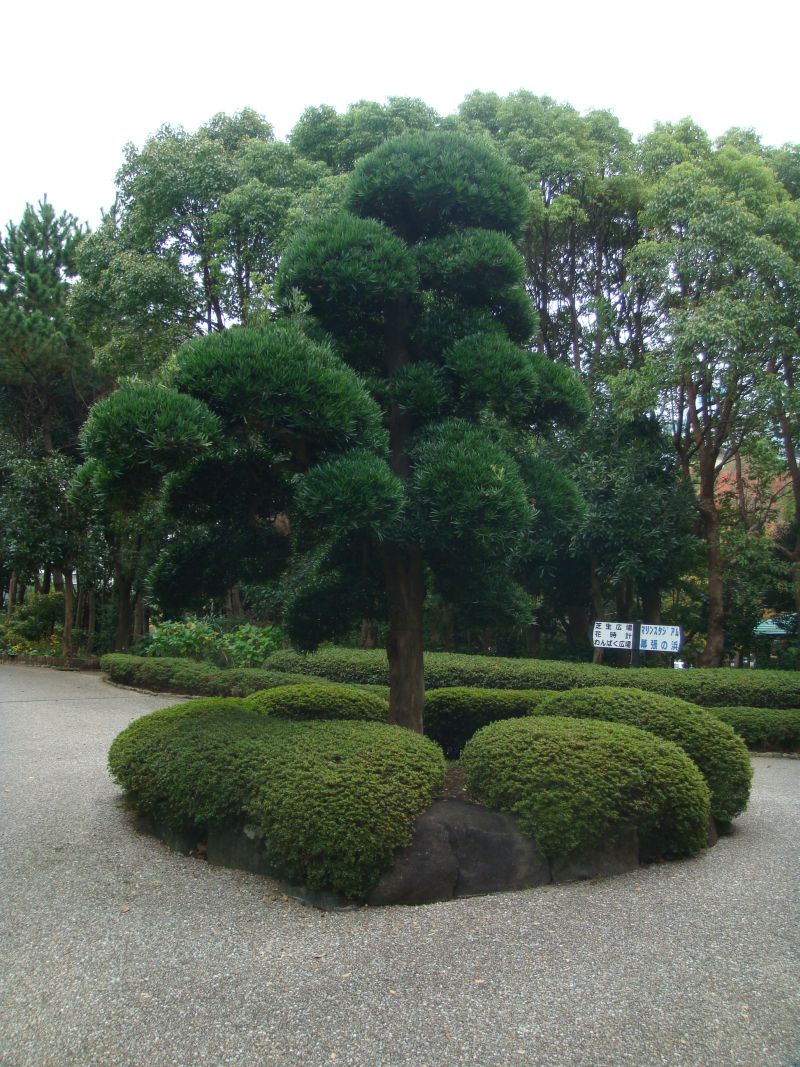 Japanese Tools ... when only the best will do: The distinctive shapes ...