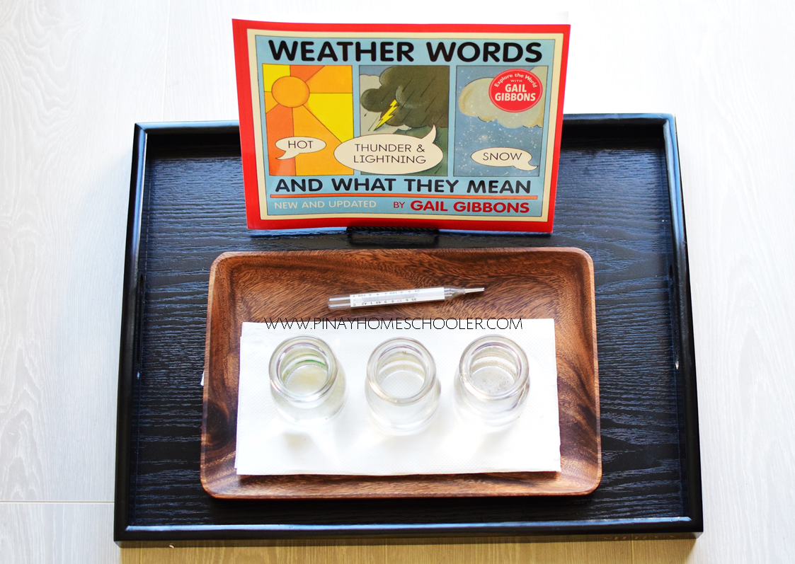 Weather Activity Trays for Kindergarten and First Graders | The Pinay ...