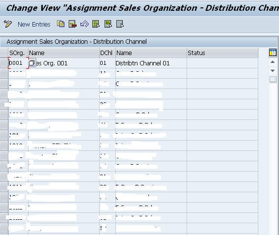 SAP Functionals: Distribution Channel