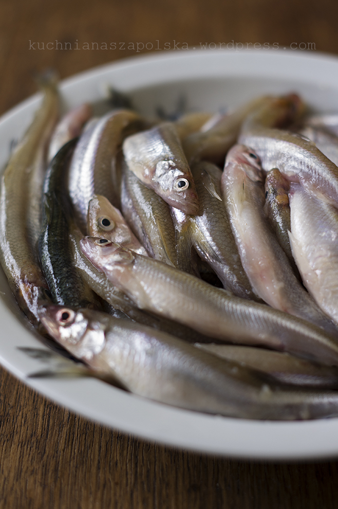 Smażone stynki, czyli co ryba ma wspólnego z ogórkiem | Kuchnia nasza ...
