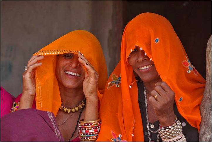 Ranthambhore Tale's.. .: Wolf in the land of Commons