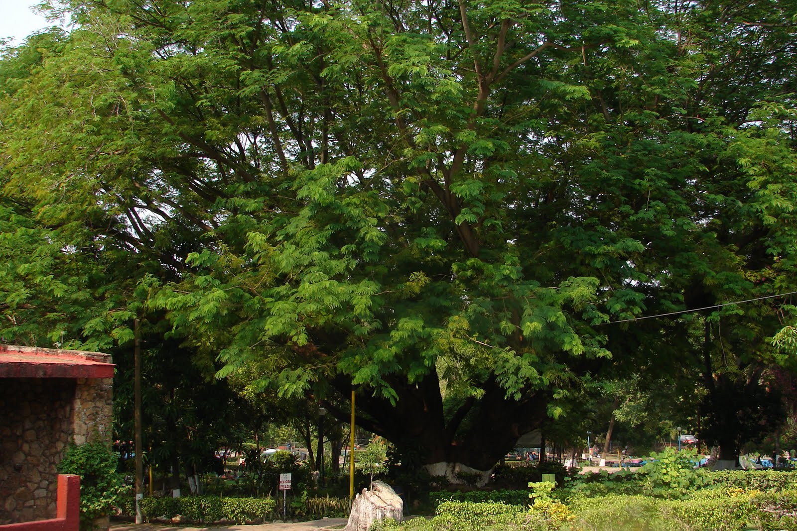 Llocs i Paisatges del Melic de la Lluna: Balneari de Tehuixtla, Morelos
