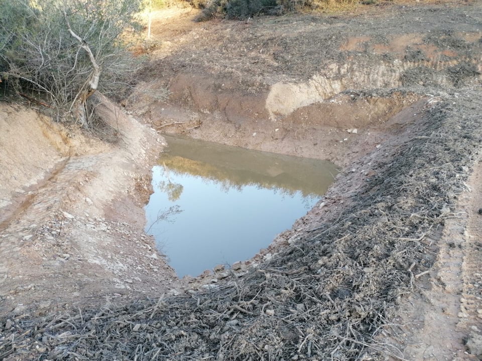 New School Permaculture: Eco Consulting with Helder Valente in Portugal ...