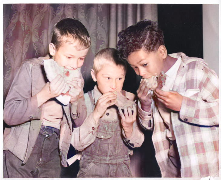 Rachel's SLC History: Cranberry Pie, Vintage Recipe