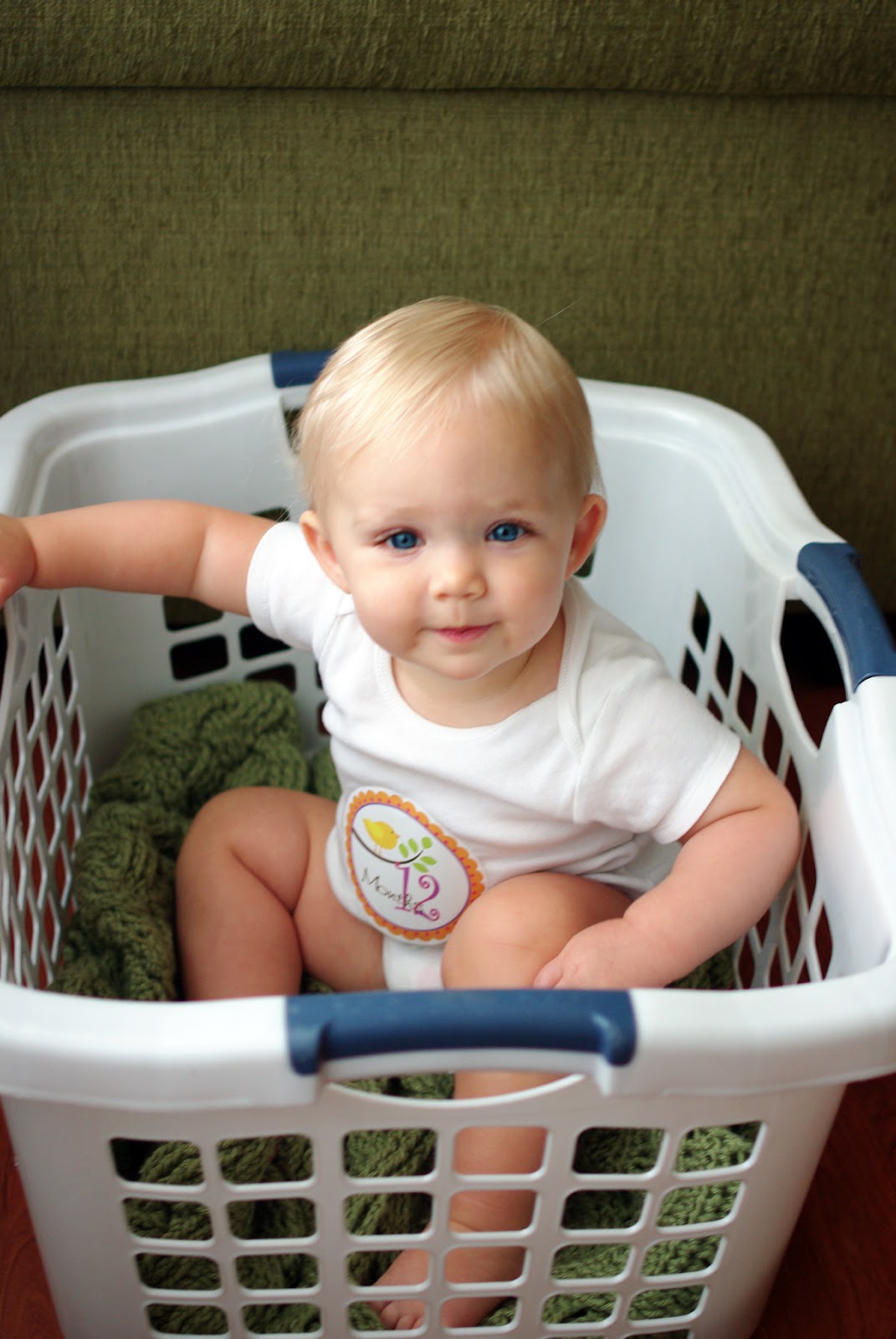 Amanda s Life Commentary 12 Months amanda-s-life-commentary-12-months
