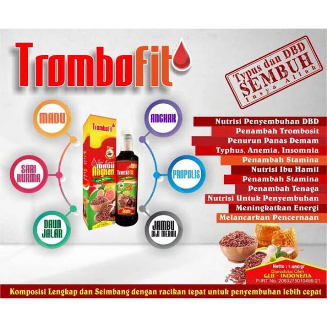 JUAL HERBAL UNTUK MENAIKAN TROMBOSIT - TROMBOFIT DI TEGAL BREBES ...