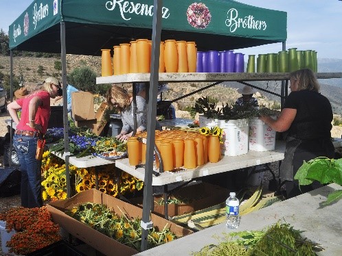 A Passion for Flowers: Rene Van Rems: From Field to Vase