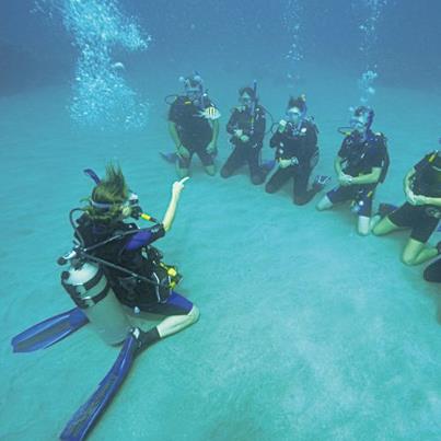 Bali Bubbles Dive Center