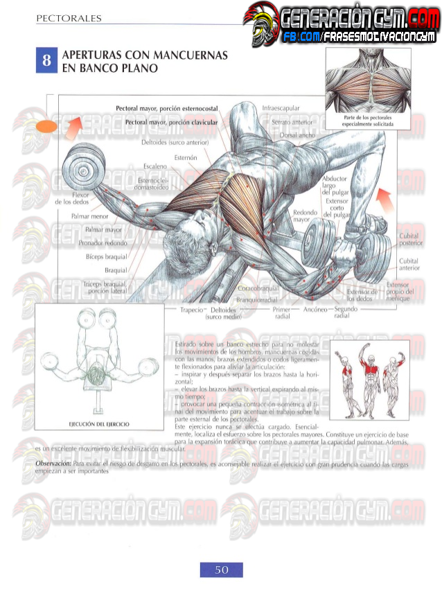 PECHO - GENERACIÓN GYM