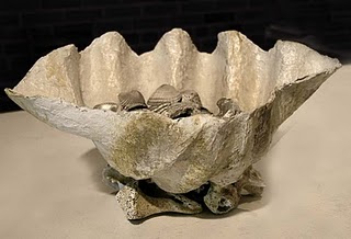 Lula Belle Style: Clamshells, Papier Mache' and the Bucket List