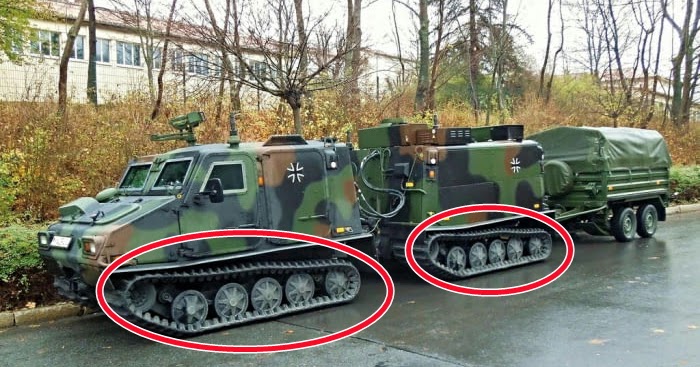 Arms ID'ed: Comparing Bv 206S & BvS 10