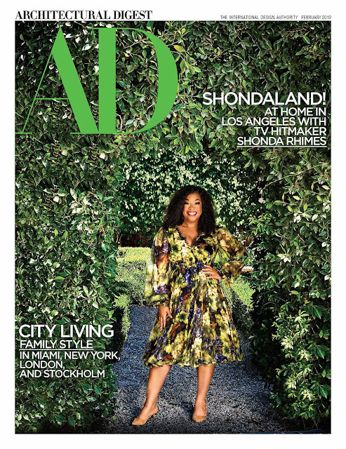 Color Outside the Lines: Shonda Rhimes Before and After