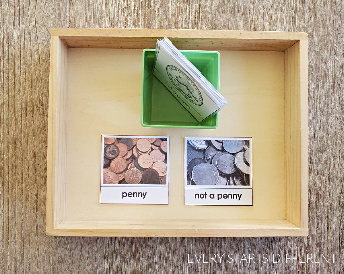 Penny Activities for Kids - Every Star Is Different
