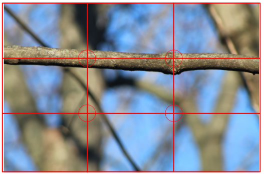 Rule of Thirds