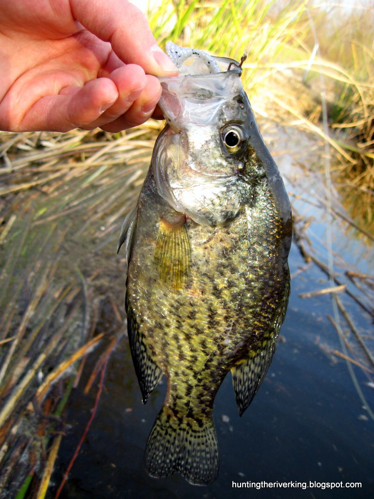 Inland Empire Crappie Fishing - Hunting the River King