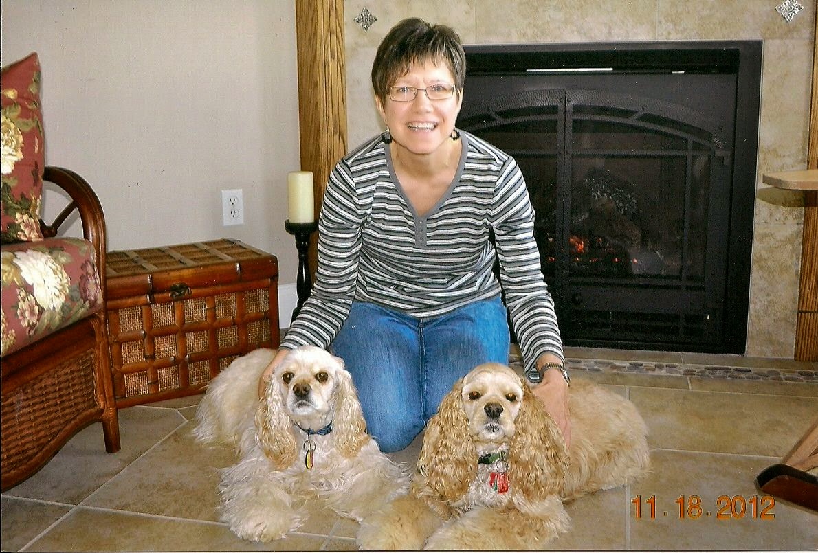 High Calling Cockers: "Mr. Archie", "Mr. Toby" and "Miss Jingles" from ...
