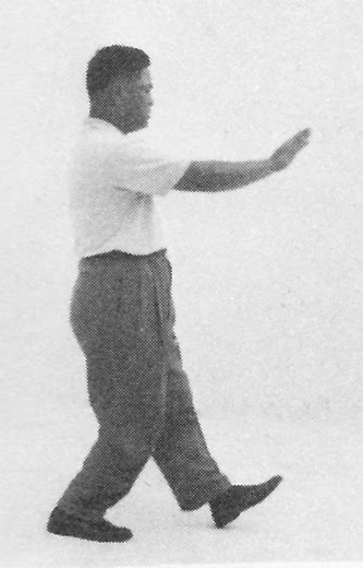 Tai Chi Chuan (Square Form) 24. Step Back And Repulse Monkey