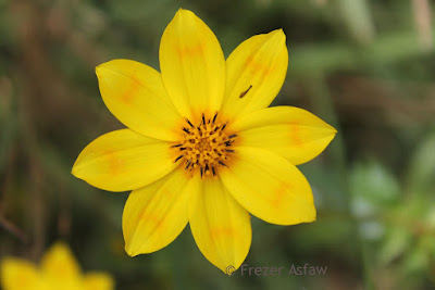 ከአጥናፍ እስከ አጥናፍ