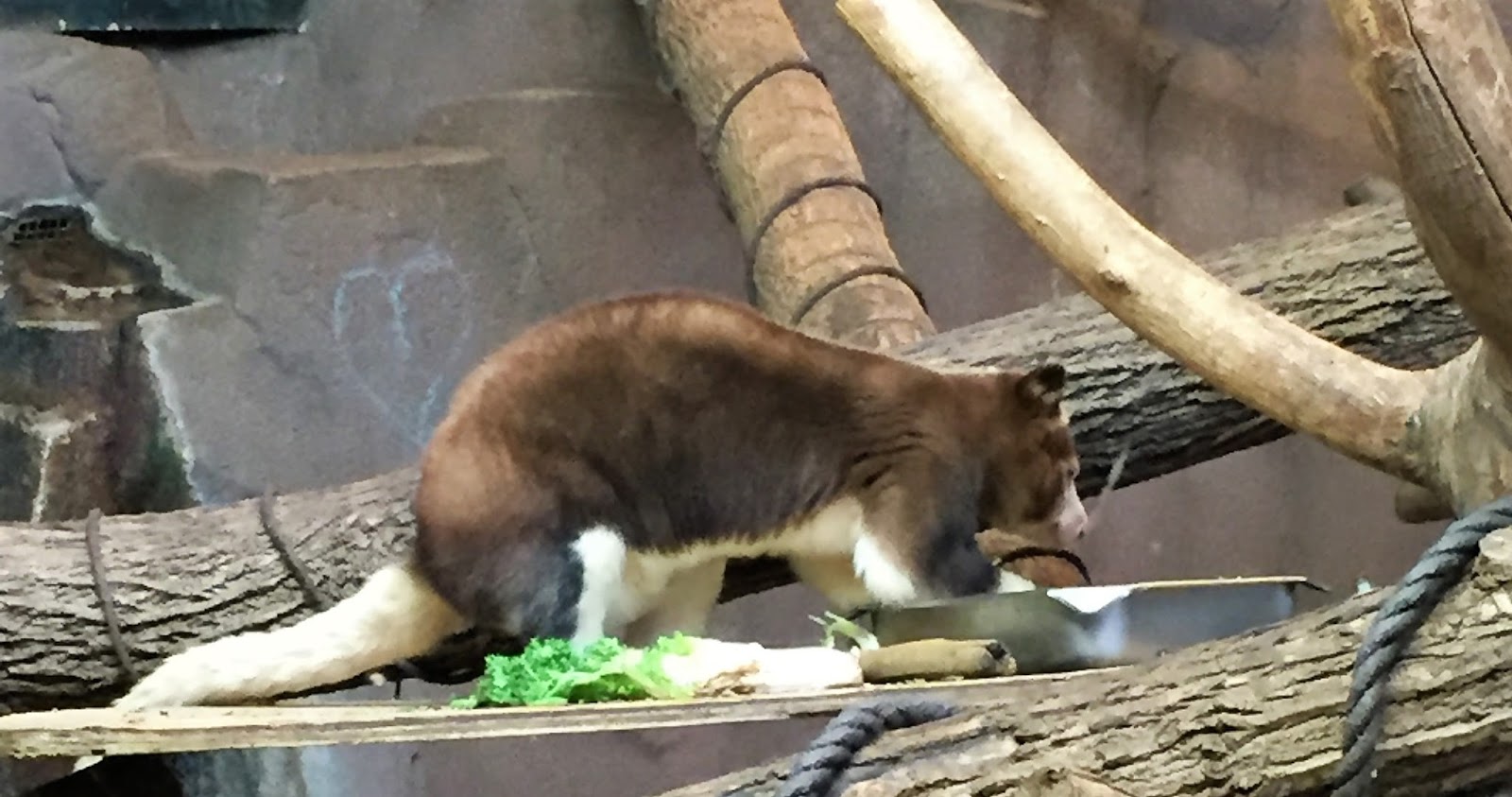 Souvenir Chronicles: MILWAUKEE, WISCONSIN: MILWAUKEE COUNTY ZOO