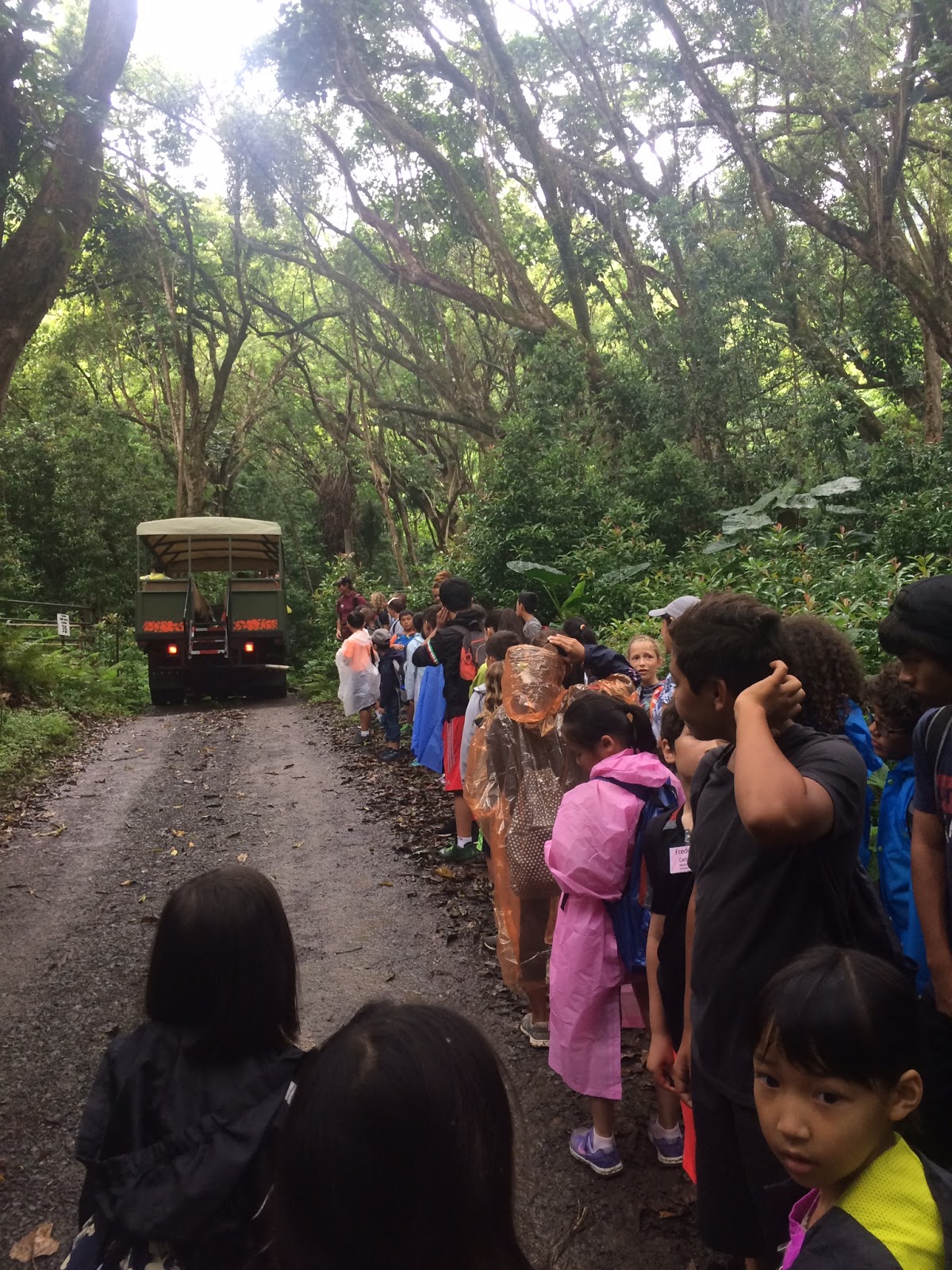 Mauka Makai 2015 4-5: Day three: Kualoa Ranch; Hakipuu Hike