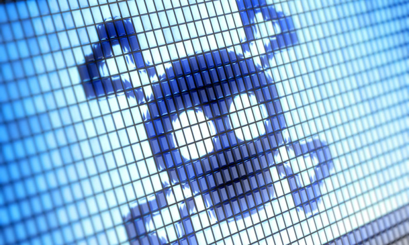 The spread of malware by using botnet