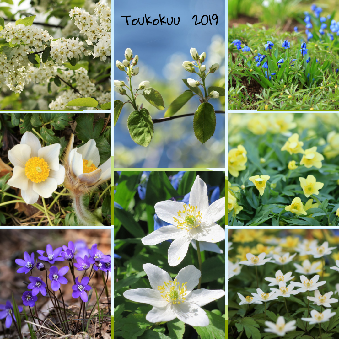 Kuvia neljästä vuodenajasta: Toukokuu