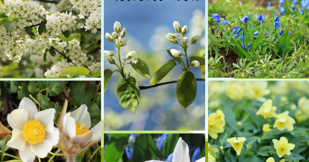 Kuvia neljästä vuodenajasta: Toukokuu