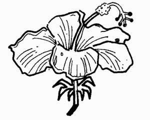 Baru 32+ Bunga Raya Outline