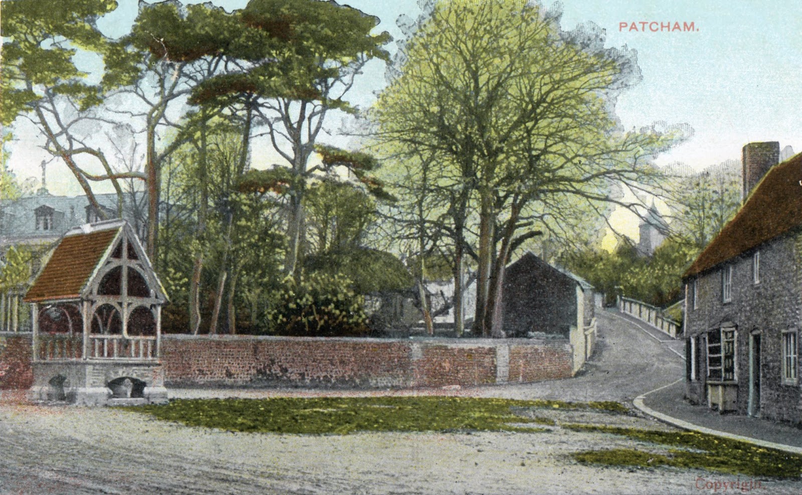 #Brighton Bits: New trees for Patcham village?