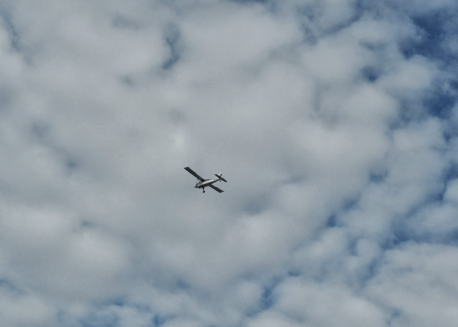 Flight To Success: How to Achieve Success...