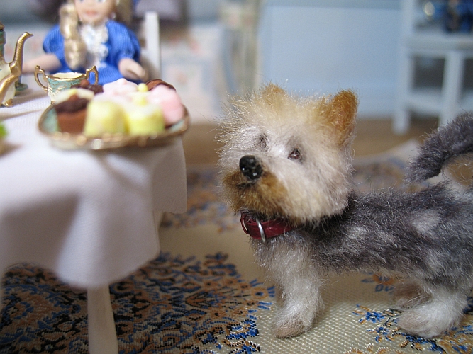 Tales from a Toymaker: Small Dog's mini-me.......