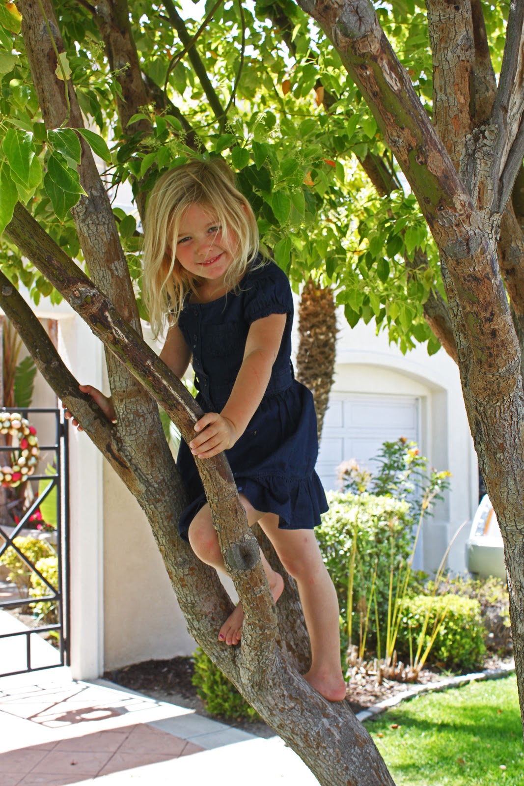 Life with a Little Grace: My Girl Climbs Trees..... in Dresses