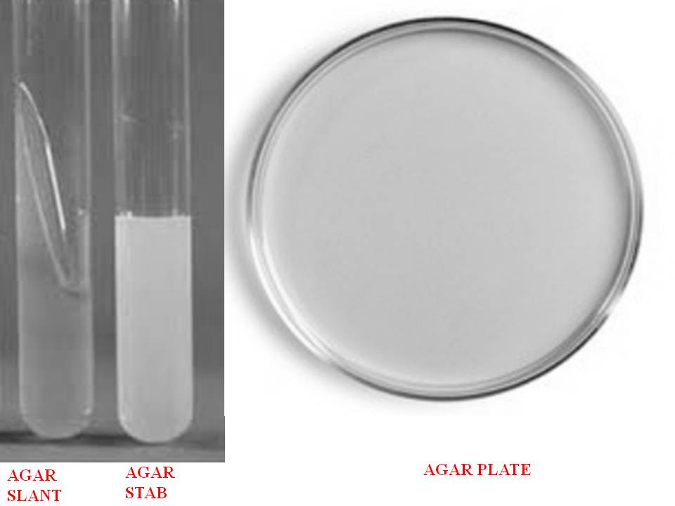 MICROBIOLOGY LAB PRACTICAL | PREPARATION AND STERILIZATION OF NUTRIENT ...