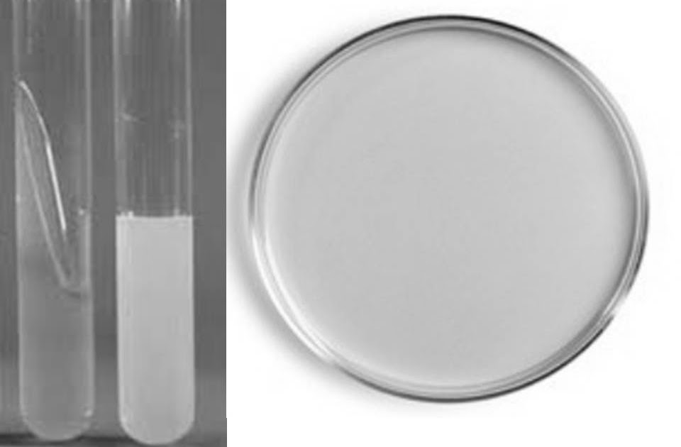 MICROBIOLOGY LAB PRACTICAL | PREPARATION AND STERILIZATION OF NUTRIENT ...