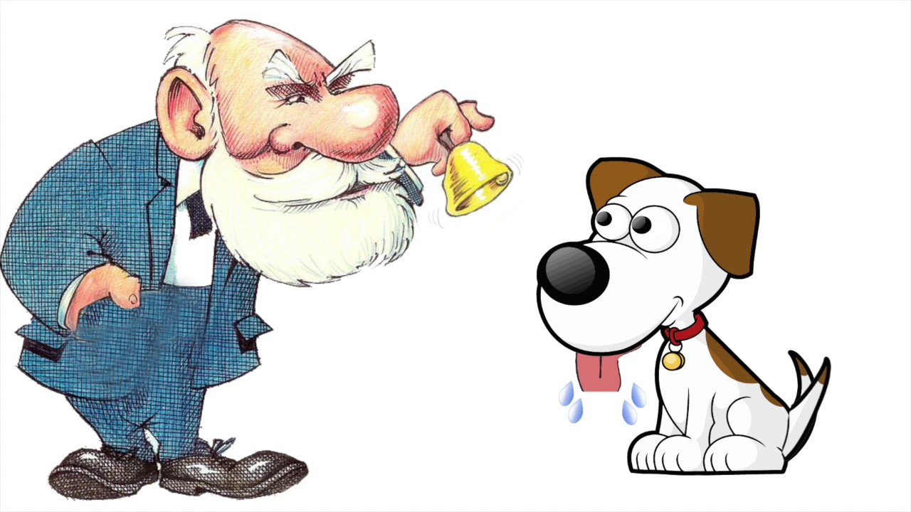 SHACK: SHACK 813 PAVLOV'S DOGS SHACK: SHACK 813 PAVLOV'S DOGS