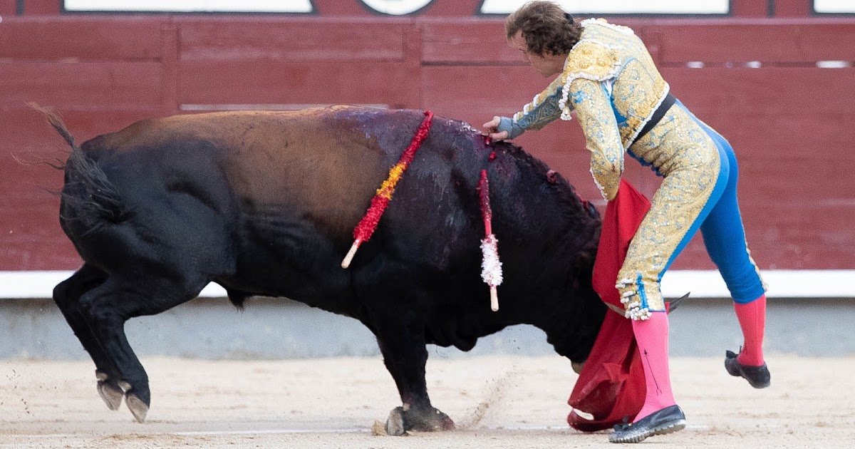 Toro, Torero y Afición: Román