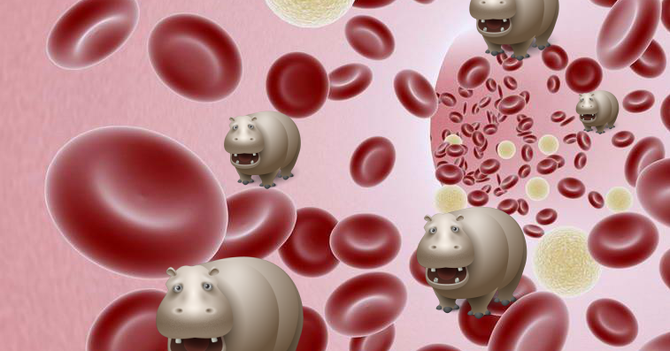 El Parte de Confirmación: Hipopotasemia