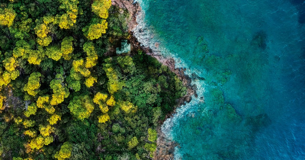 SNEAK PEEK : "Fantasy Island" - New Footage