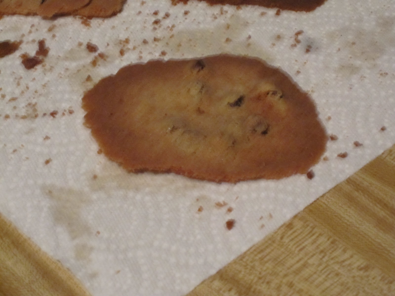 Failed Chocolate Chip Cookies