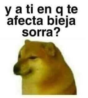 Los mejores memes del perrito Adió chula | El Tío Jelipe