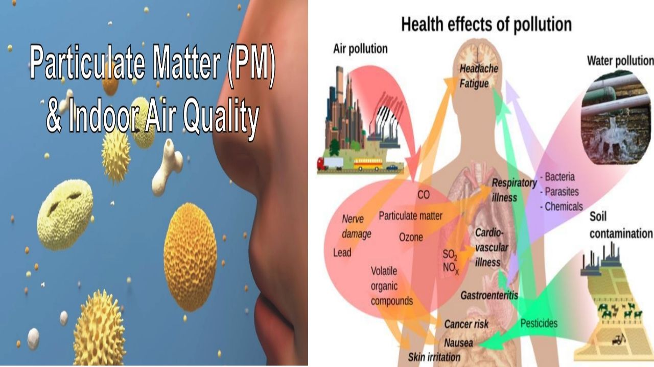 Air pollution and its horrors and infant mortality - SuperClustr Of ...
