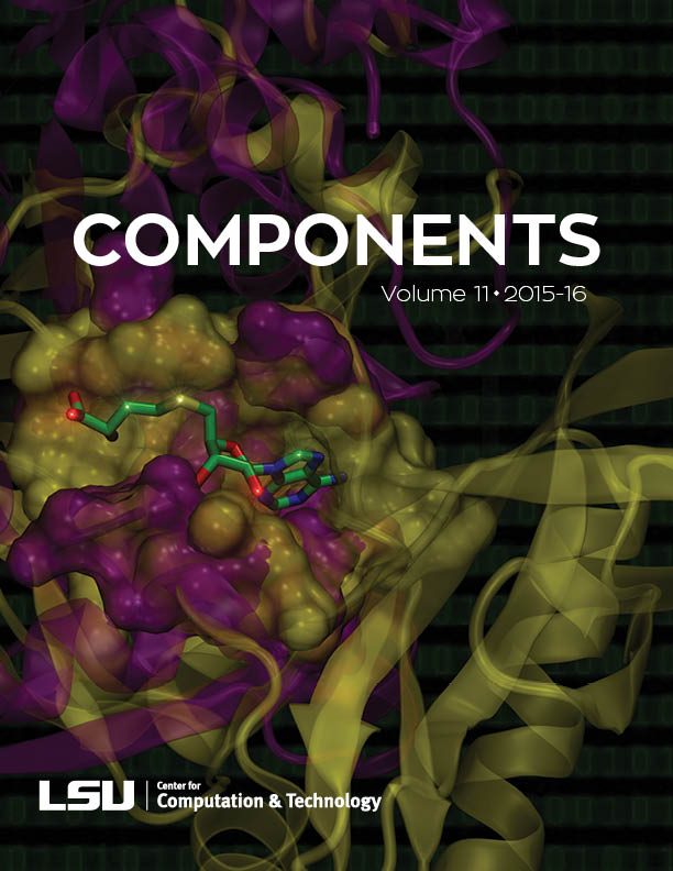 LSU CCT: Components 2015-2016